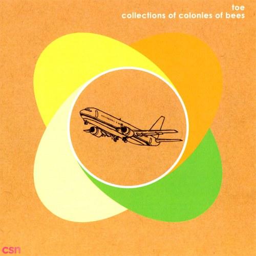 Collections Of Colonies Of Bees - toe