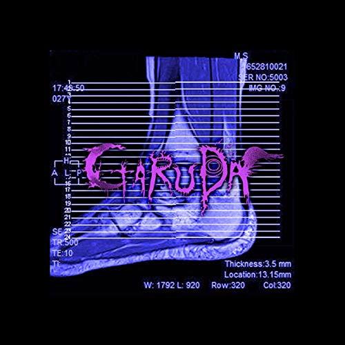 Mou Sugu Yuki ga - GARUDA